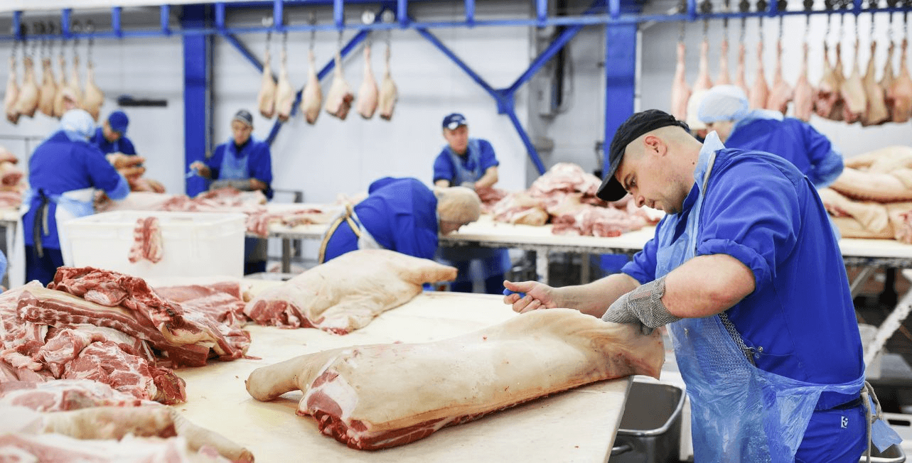 Checklist - Boas Práticas em Açougue - Ferramenta - Açougue